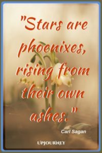 17 [BEST] Phoenix Rising from the Ashes Quotes