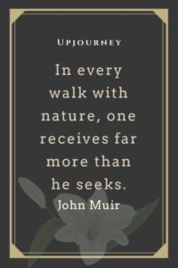 21 [BEST] John Muir Quotes (About Nature, Mountains, Life...)