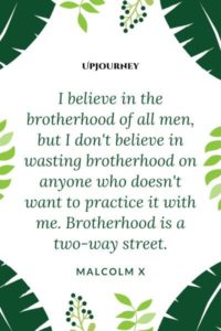 33 [BEST] Brother Quotes and Sayings | UpJourney