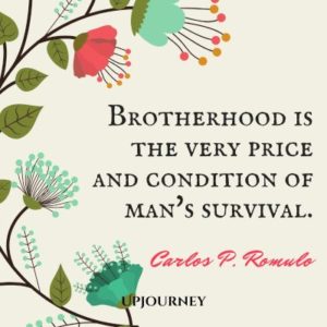 33 [BEST] Brother Quotes and Sayings | UpJourney