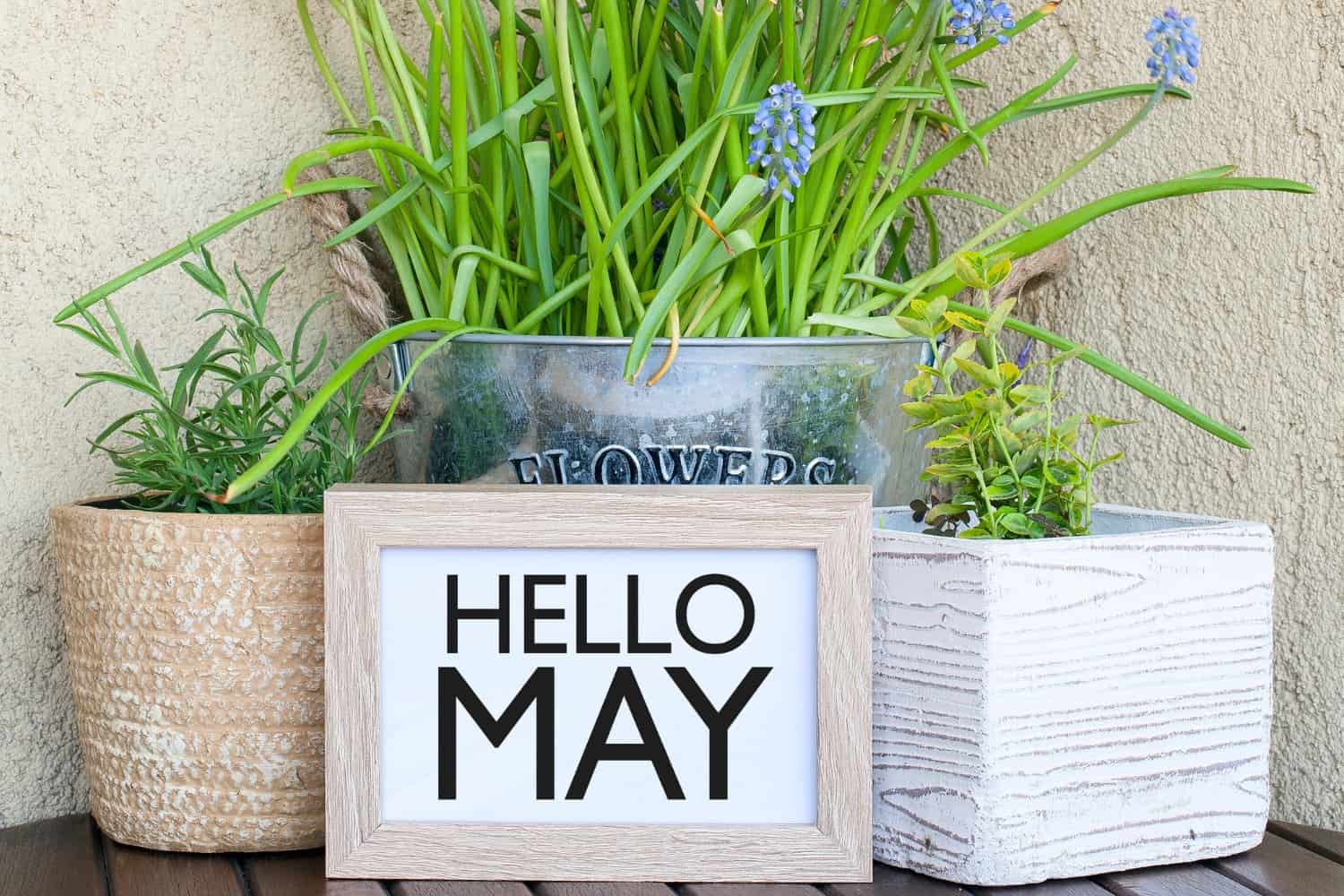 195 May Captions for Instagram