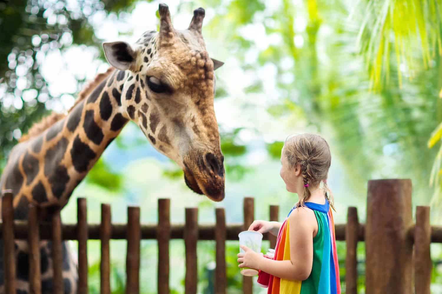 273 Zoo Instagram Captions for Safari Vibes